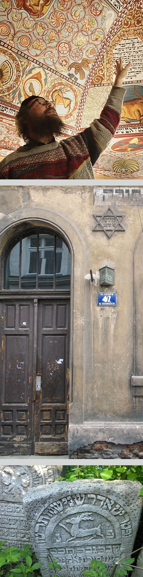 Moskowitz or Frank? Researching Jewish Roots - Pallasart Web Design ...